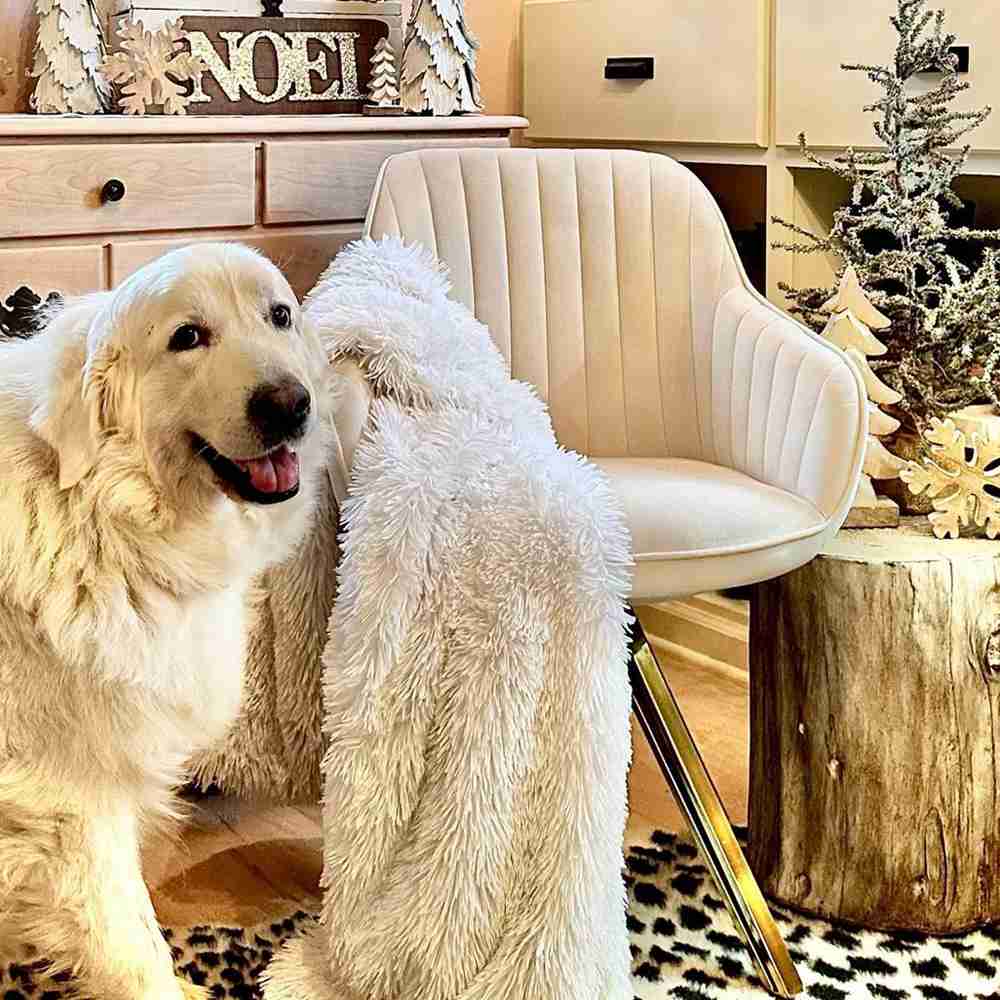 Accent Bedroom Chair Ideas to Keep You Dreamin' in Style